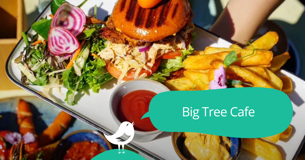 Big Tree Cafe: 50% off breakfast and lunch with First Table