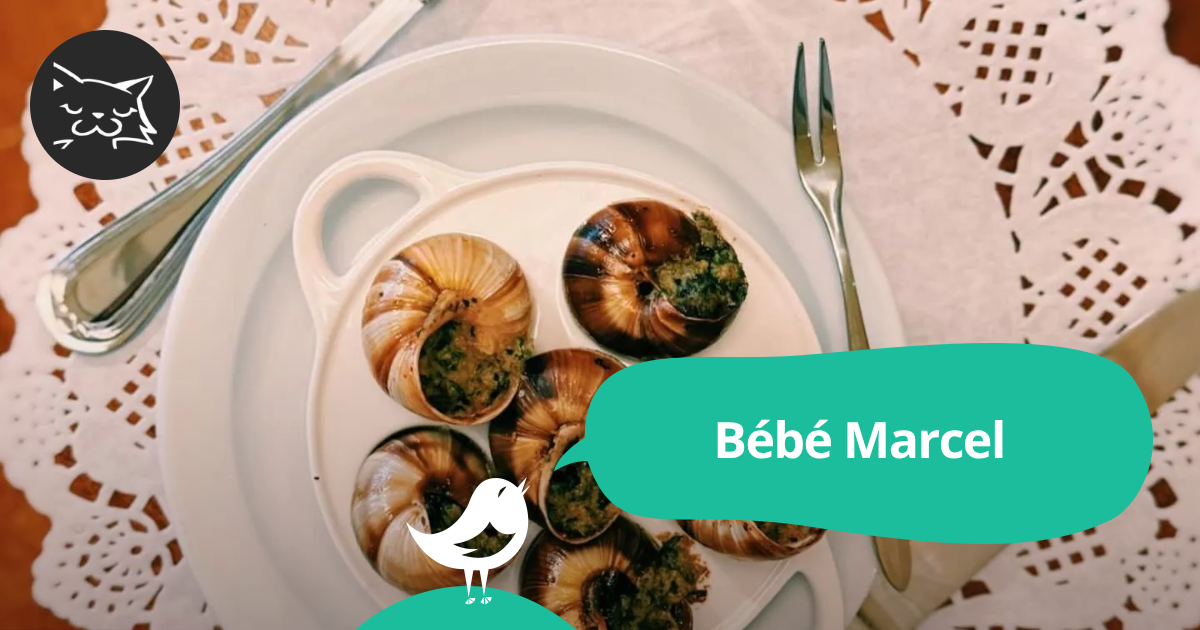 Bébé Marcel: Book any time at everyday prices