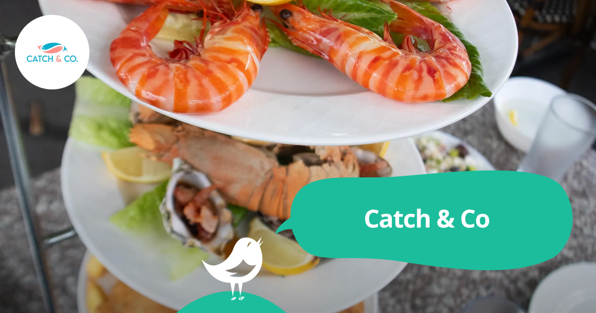 Catch & Co: Book any time at everyday prices